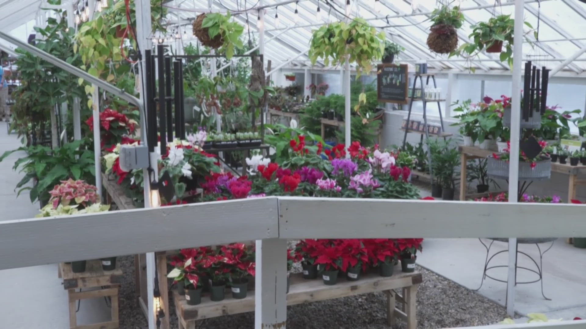 Another must-watch moment for Michael Jordan as NBA great testifies at ...