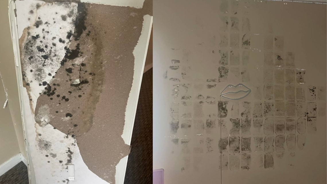 UofL student says Cardinal Towne apartment had mold | whas11.com