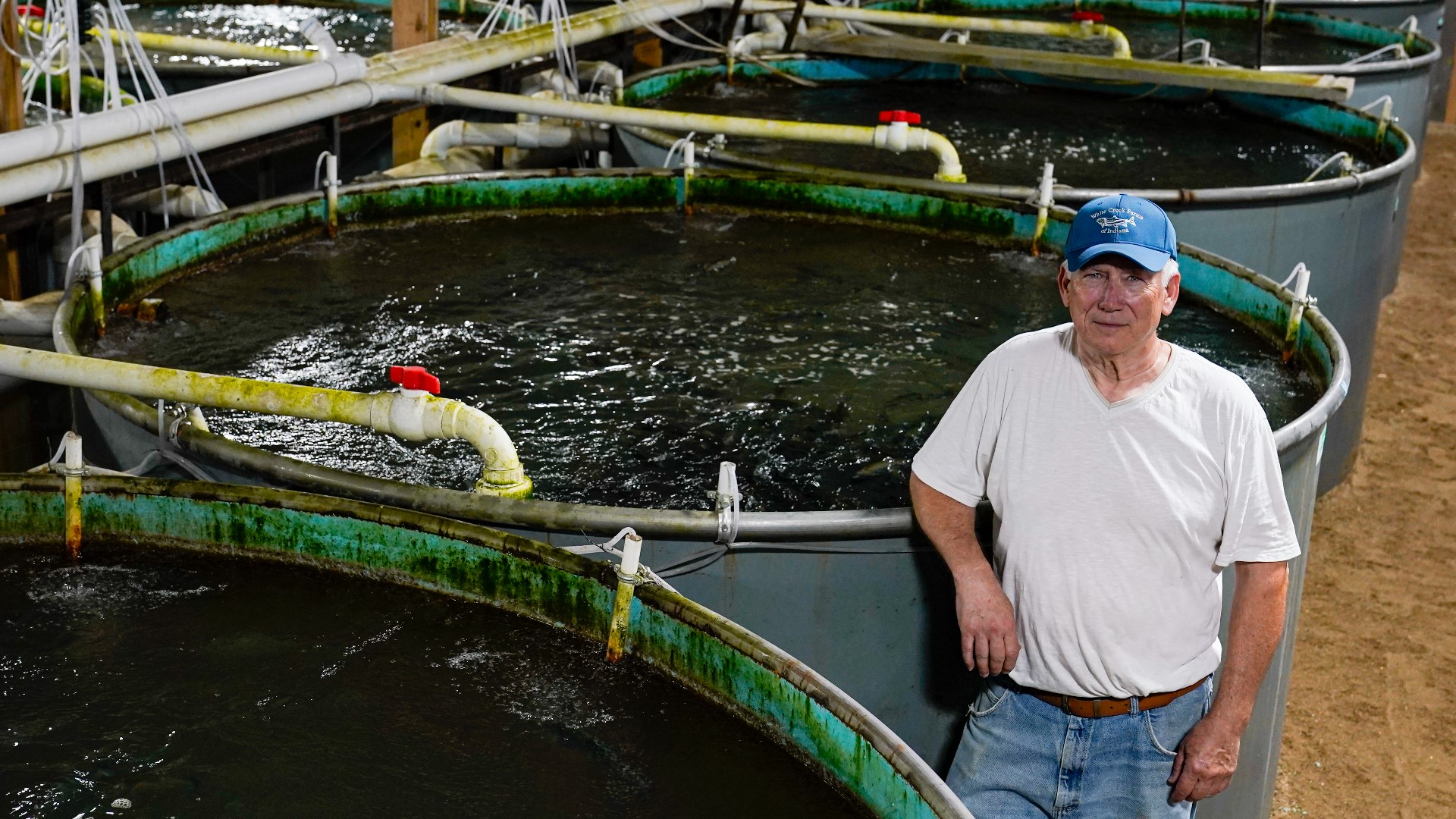 Midwestern farms struggling to market fish | whas11.com