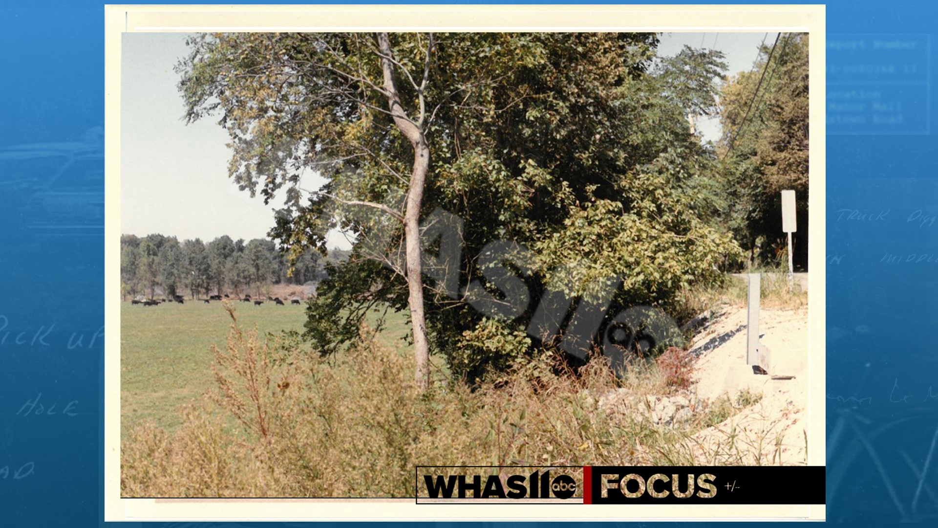 Ann Gotlib evidence photos released by police | whas11.com