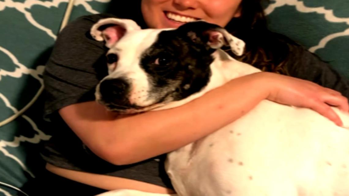Springfield woman turns heartbreak into memories with dying dog ...