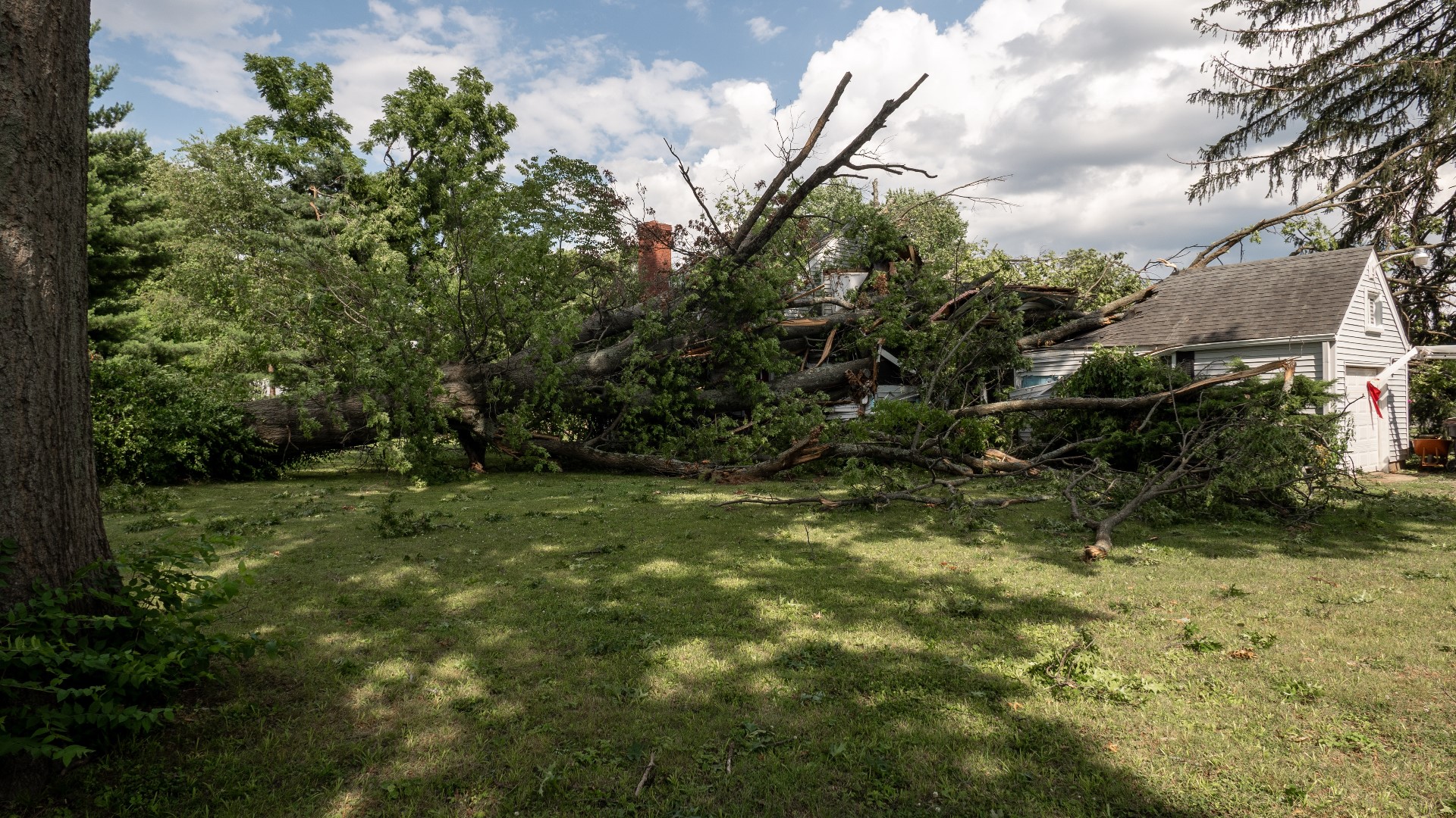 NWS Louisville surveys storm damage in Kentuckiana | whas11.com