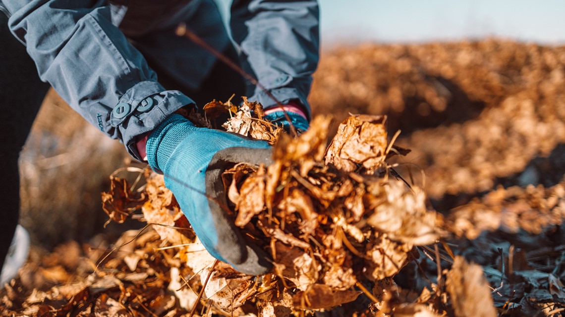 Clarksville Public Works leaf collection schedule for 2022 | whas11.com