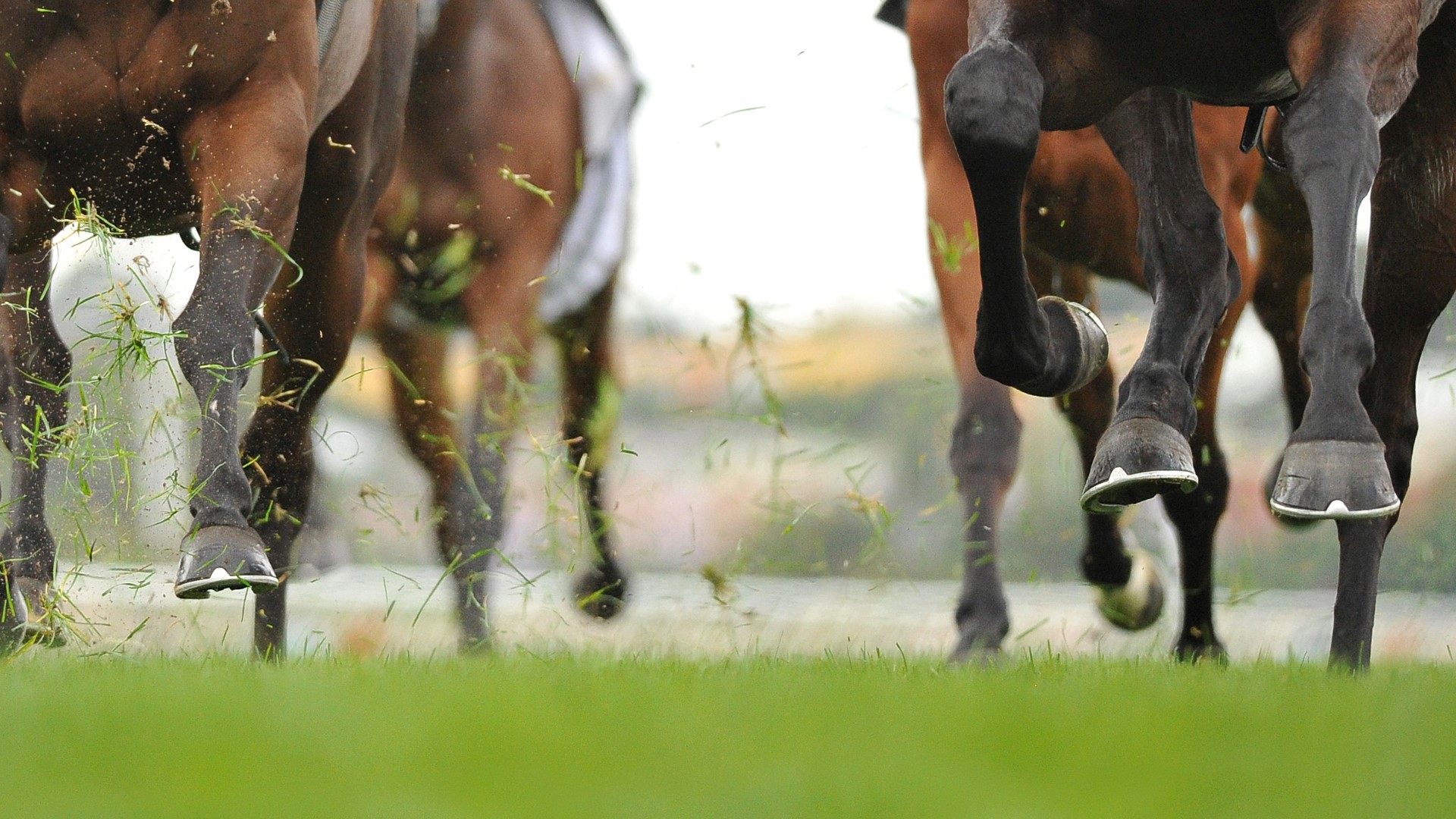 Tapit Trice is 5-2 favorite for Kentucky at Keeneland | whas11.com