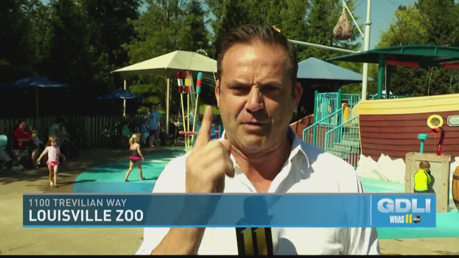 Chill like a polar bear at the Louisville Zoo's Splash Park this summer ...