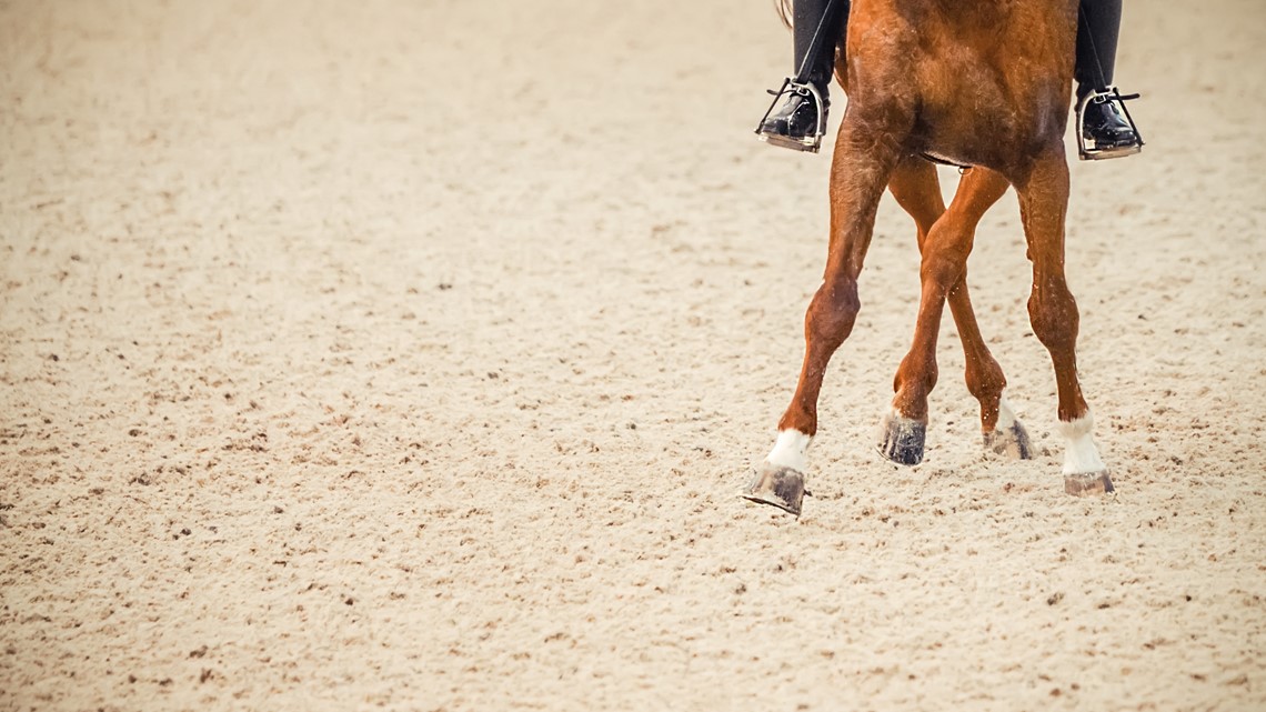 Rider injured after horse dies during World's Championship Show ...