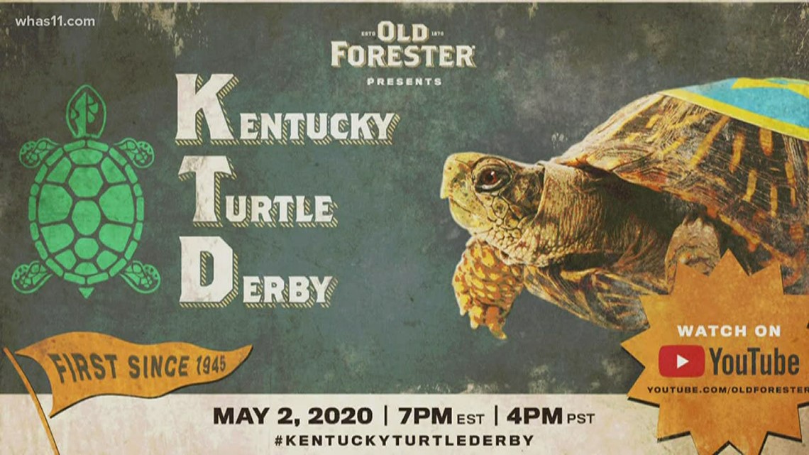 Old Forester to host 'Kentucky Turtle Derby' online | whas11.com