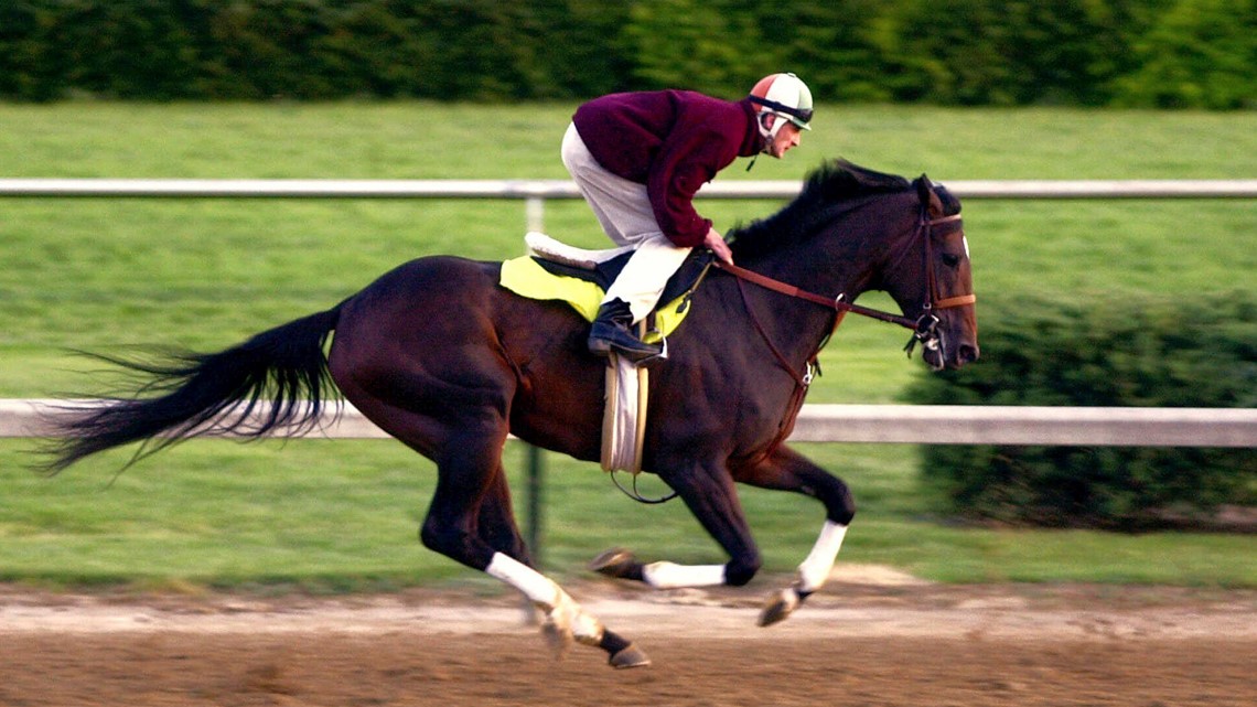 Fusaichi Pegasus, 2000 Kentucky Derby winner, dies | whas11.com