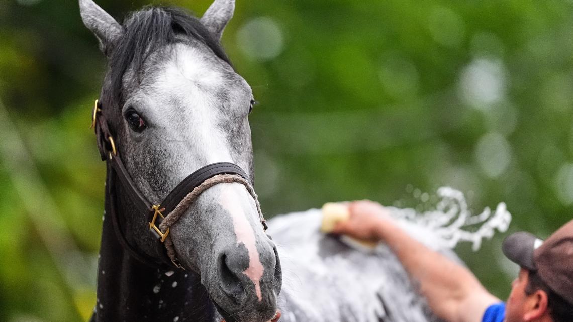 Barbaro won the Kentucky Derby 20 years ago. It was his final victory ...