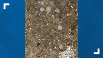 Storm damage, hail photos after overnight storms hit Kentucky | whas11.com