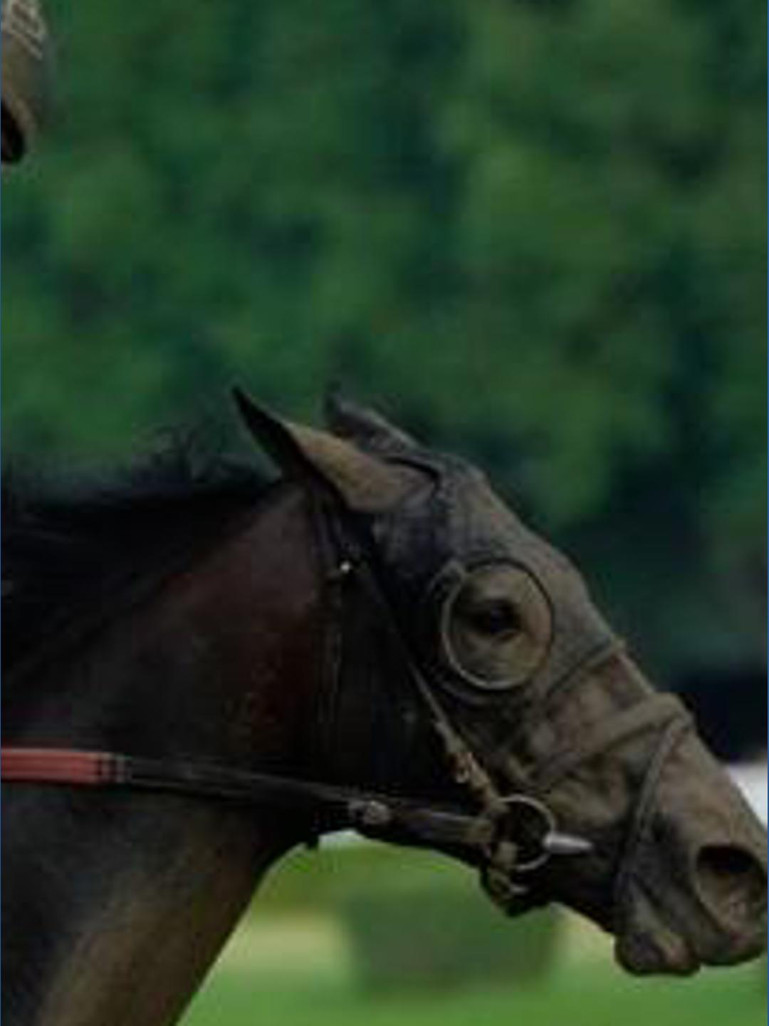 Golden Tempo comes from behind to win 158th Belmont Stakes | whas11.com