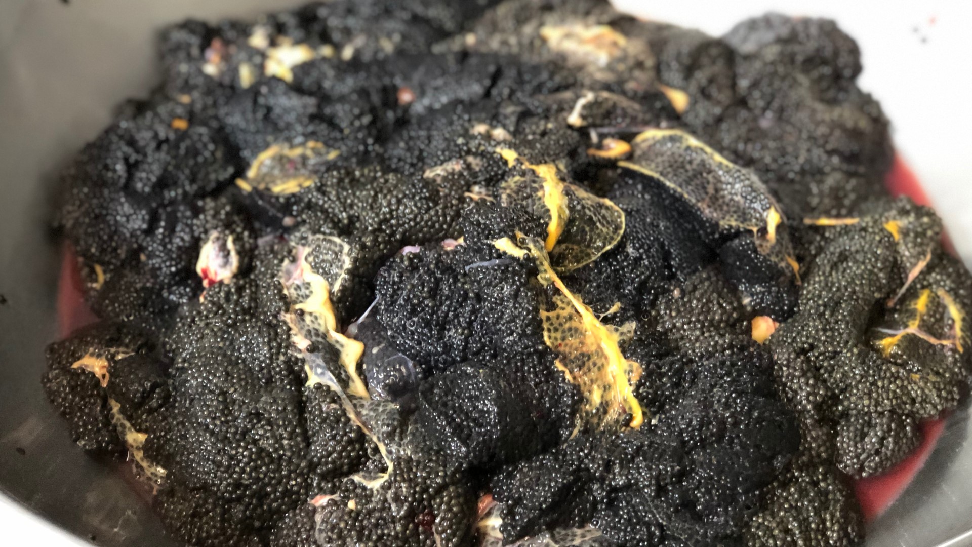 This Kentucky fish market is producing 'America's Best' caviar | whas11.com