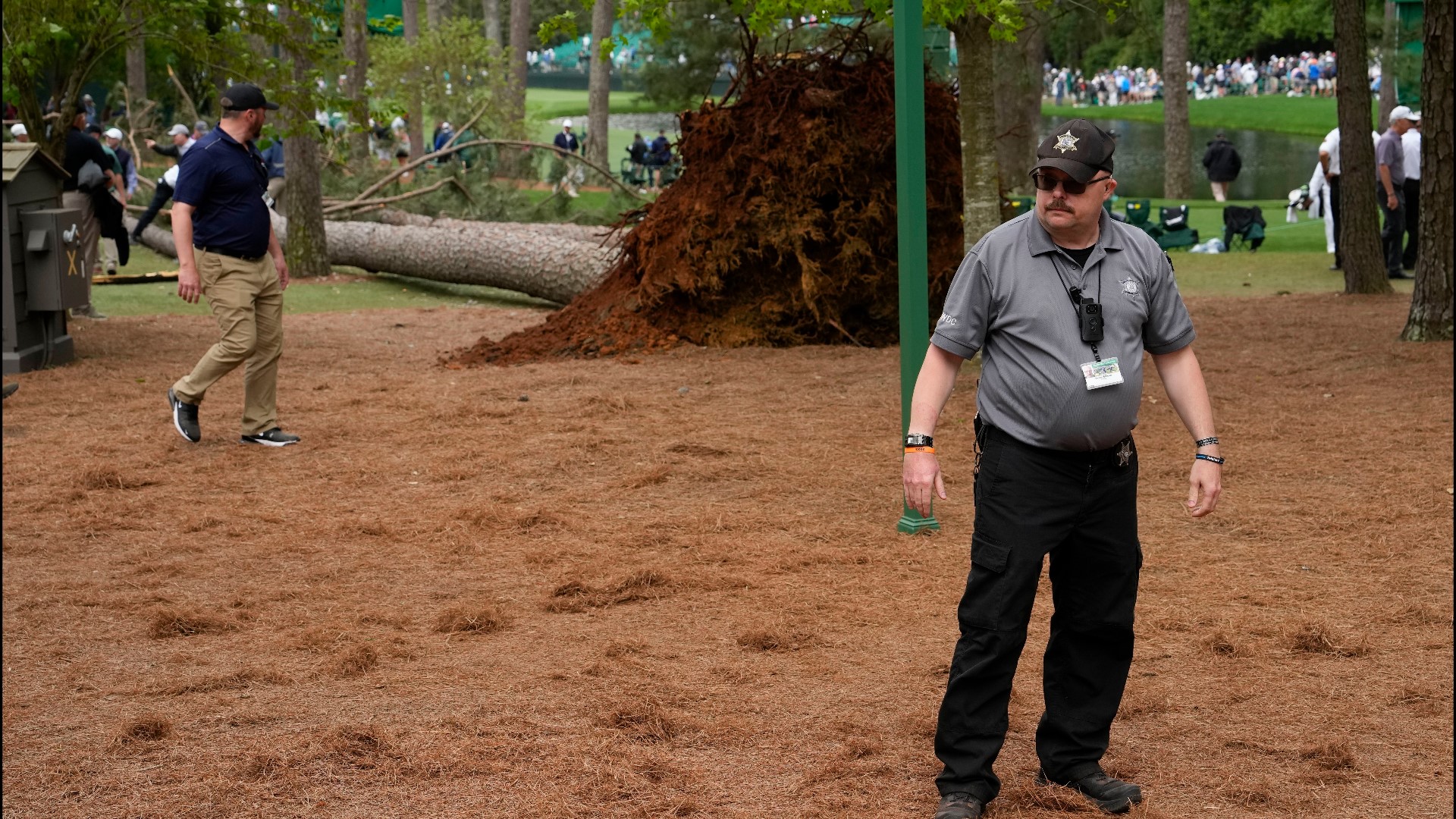 PHOTOS | Tree falls at Masters Tournament in Georgia | whas11.com