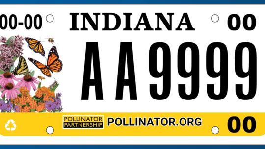 Indiana BMV unveils 5 new license plates available to Hoosiers in 2026 ...