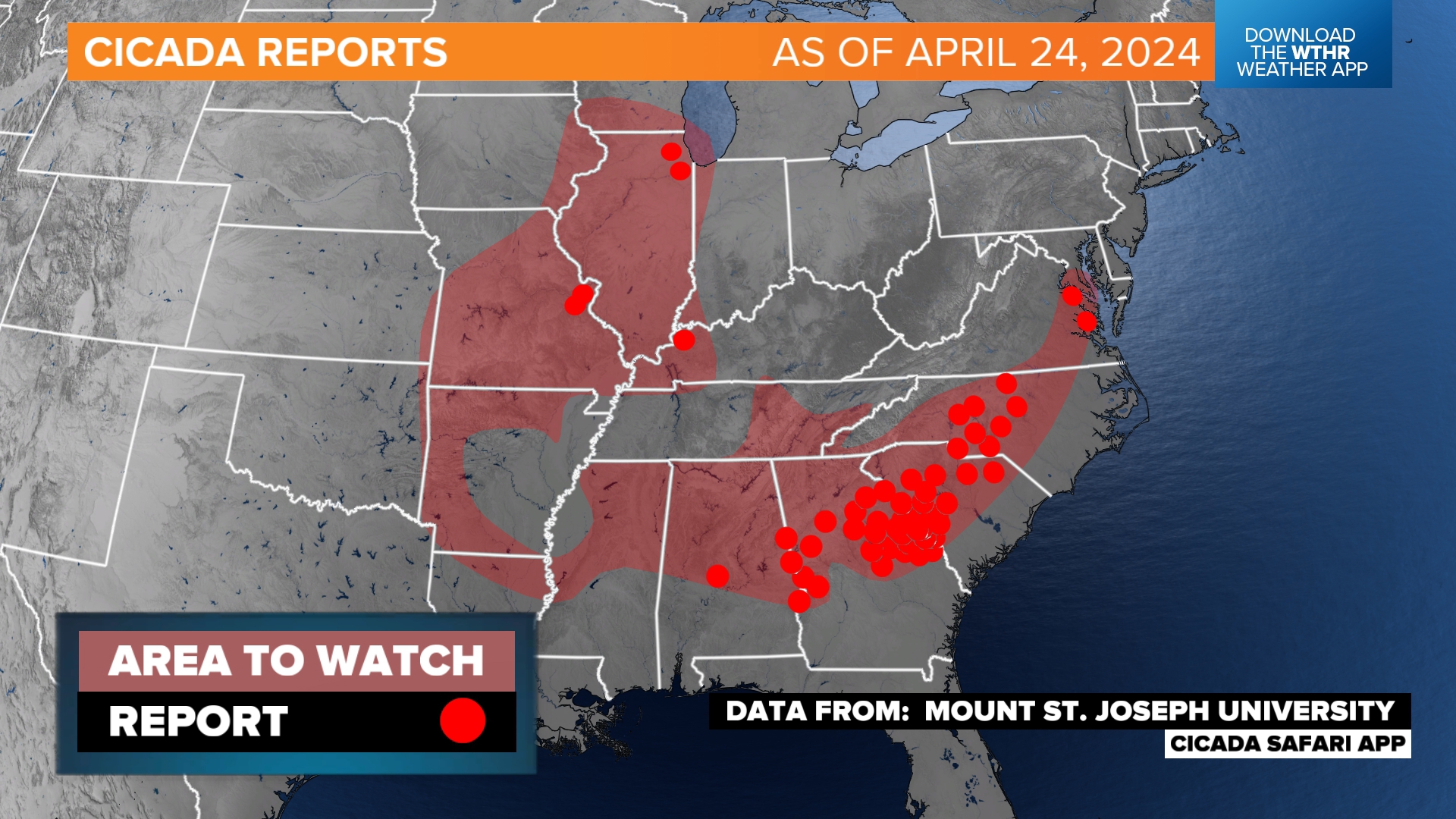 Where have the 2024 cicadas emerged so far? | whas11.com