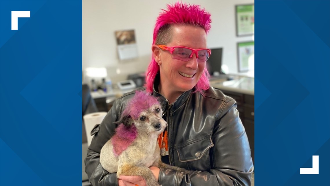 Breast cancer survivor wins USA Mullet Championships' Indiana State ...