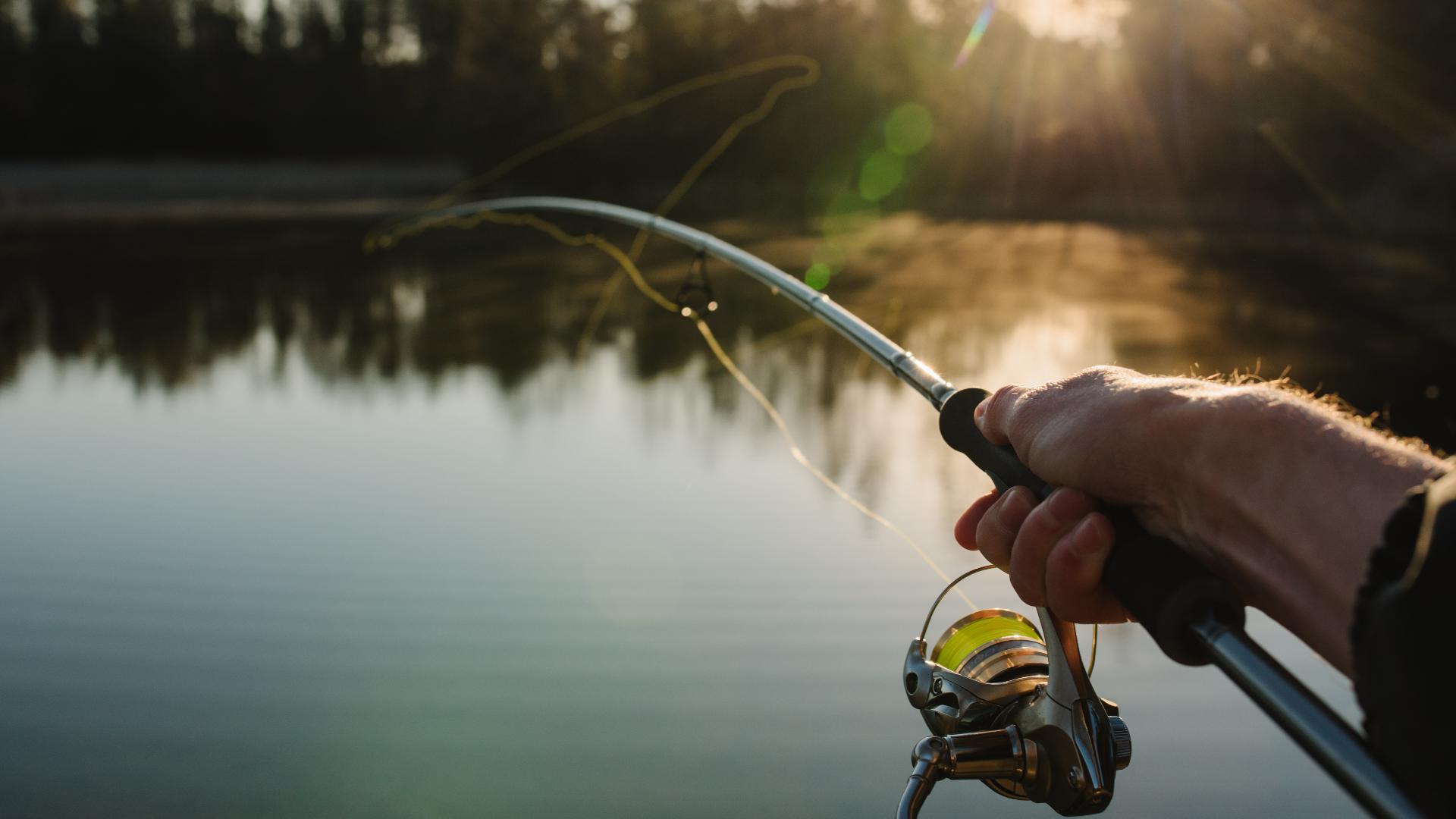 Calling all commercial fishermen: You can get paid to remove invasive ...