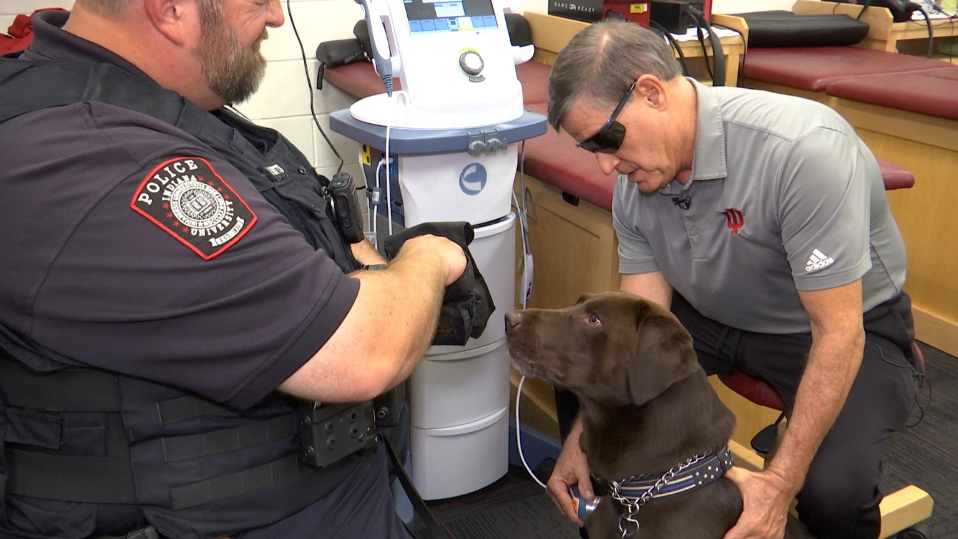 Athletic trainer helps keep IU bomb-sniffing K-9 in top shape | whas11.com