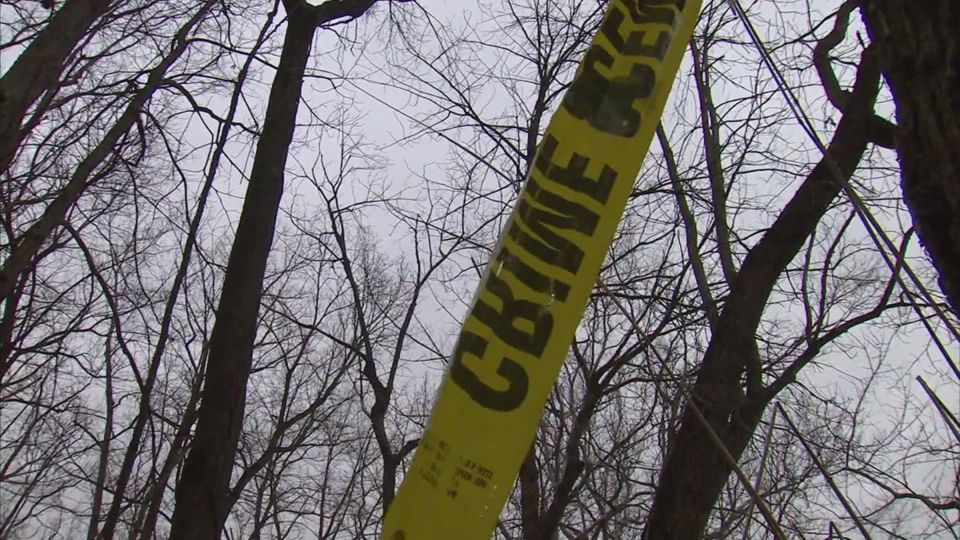 No Odinism, alternate suspects at Delphi murders trial | whas11.com