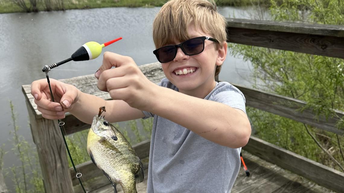 Wildlife in Need's Tim Stark collapses during hearing | whas11.com