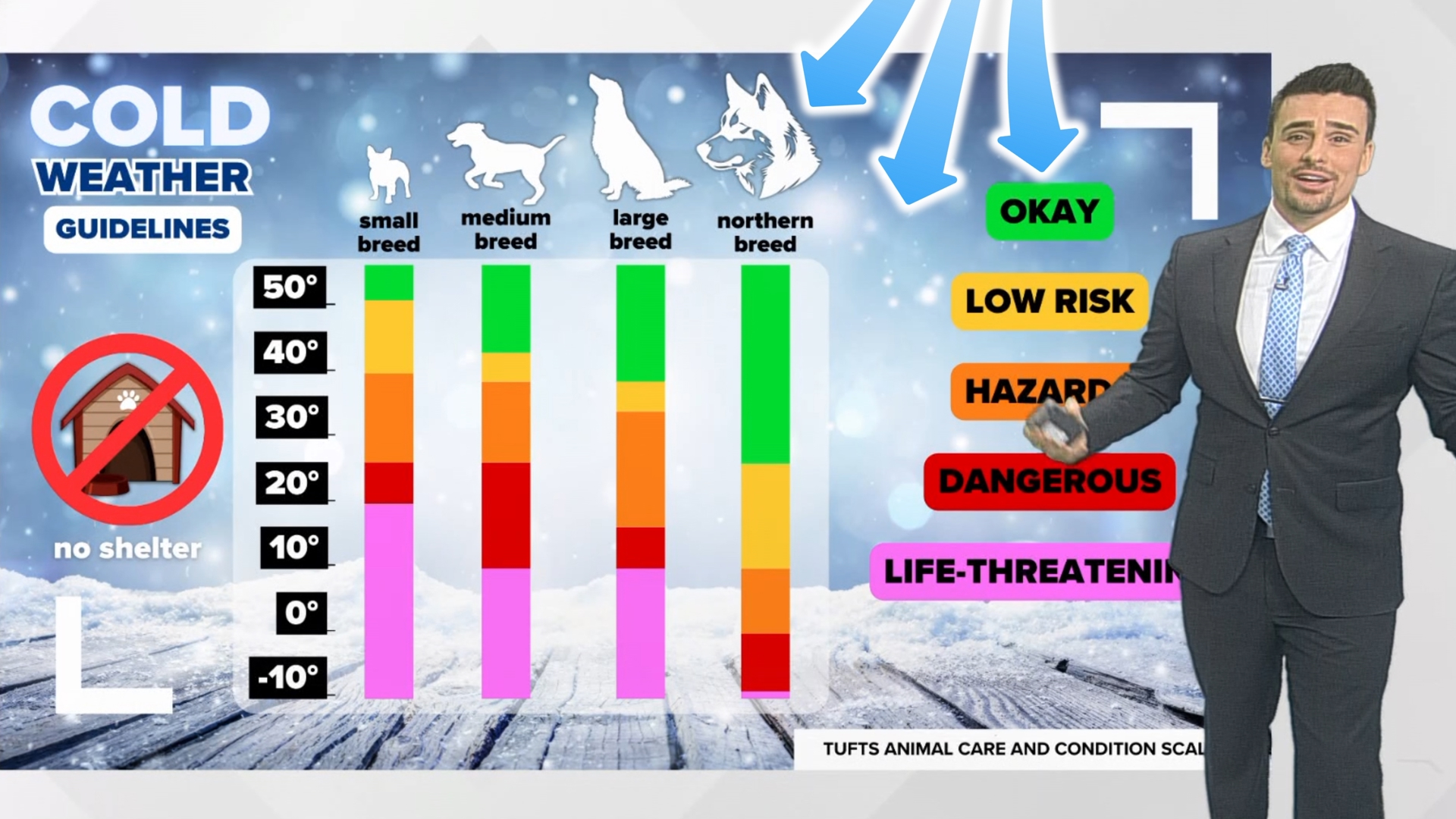 How much cold can your dog handle based on breed | whas11.com