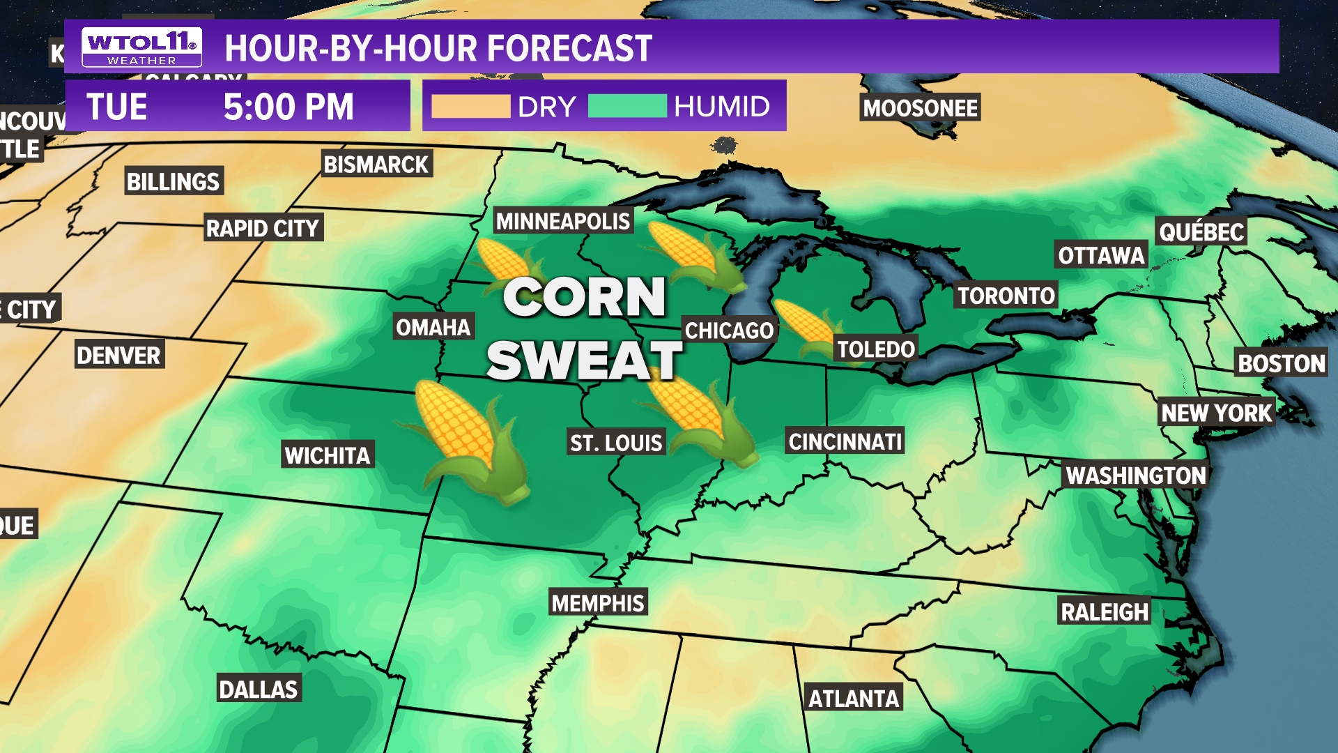 What is 'corn sweat' and how does it contribute to heat, humidity ...