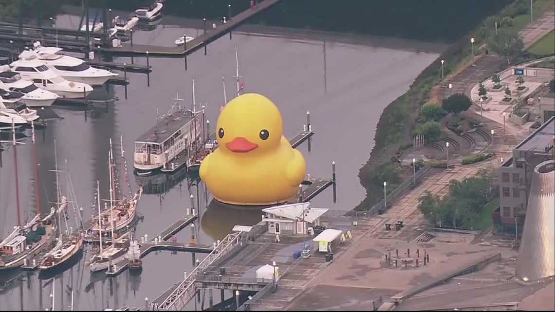 The world's largest rubber duck is coming to this Maryland town | whas11.com